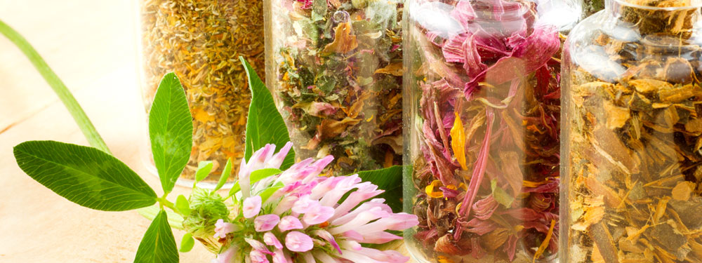 Penn Herb Company On-Line Herb Store - Natural Remedies Vitamins Spices ...